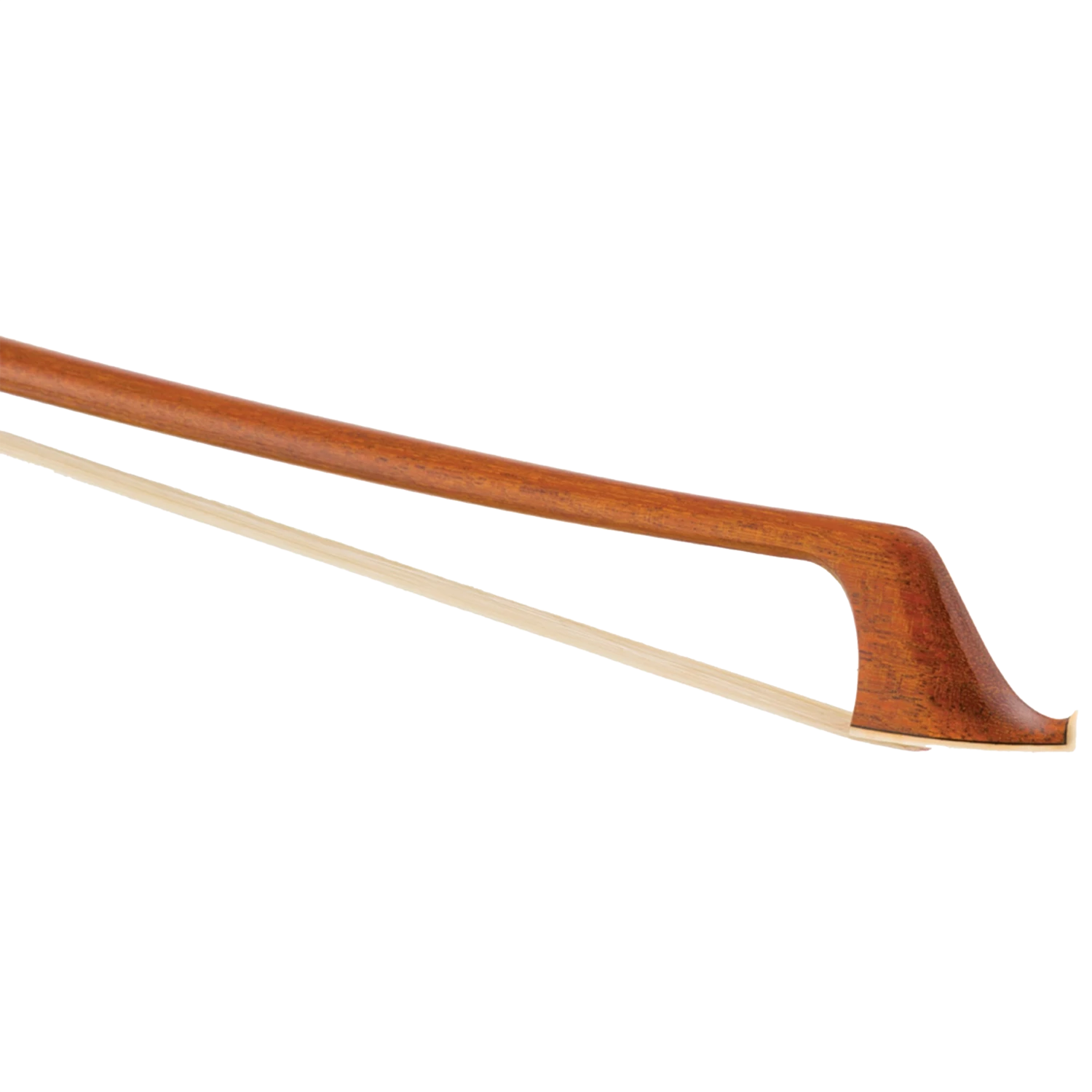 Marco Raposo Pernambuco Cello Bow Silver Mounted 4/4 – Simply for Strings